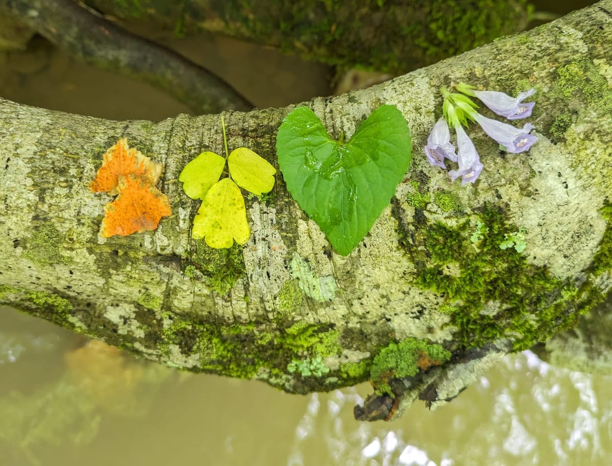 Commitment - it's complicated - or is it?